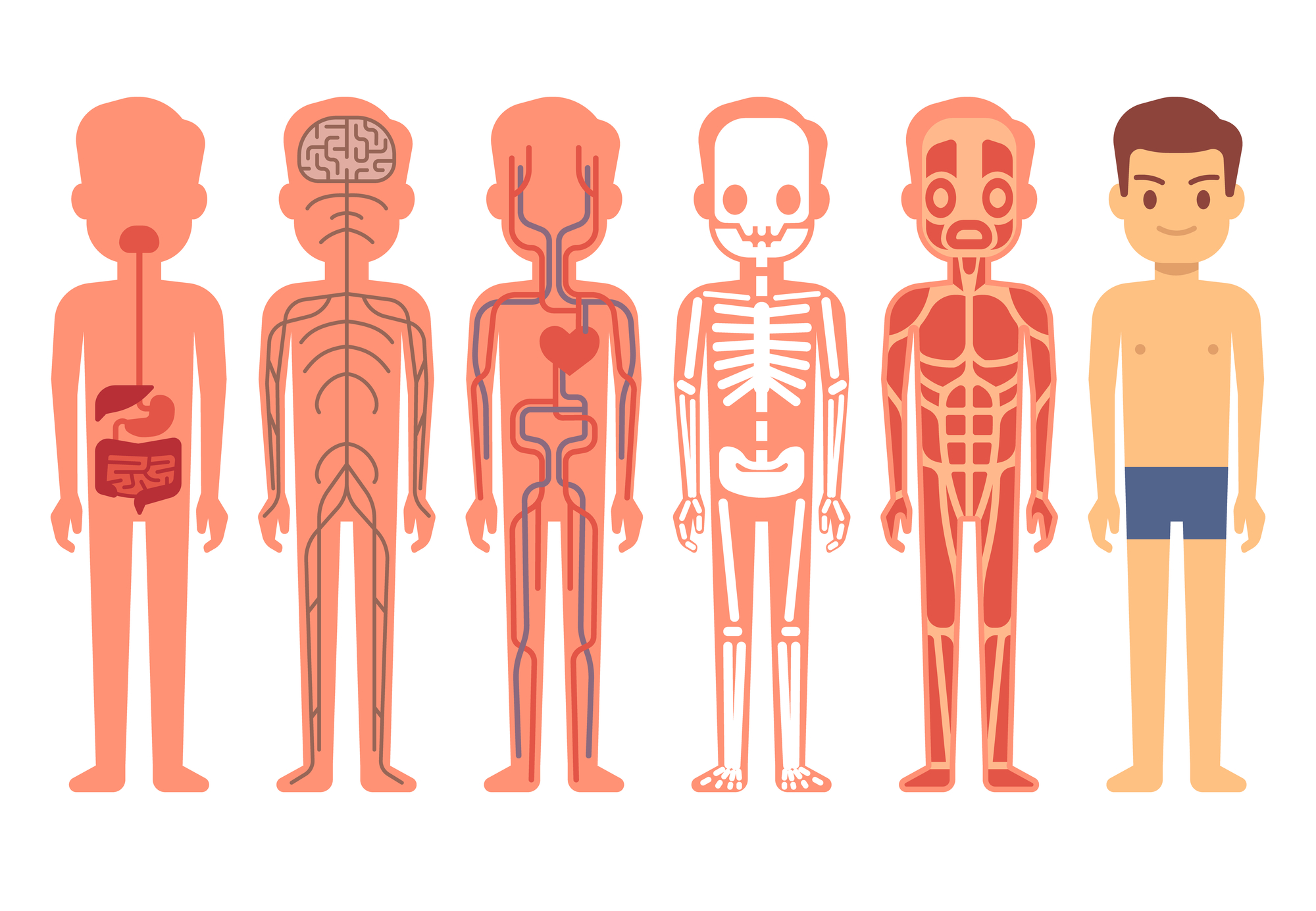 Understand Our Body Function ALL WELL Scoliosis Centre Singapore 